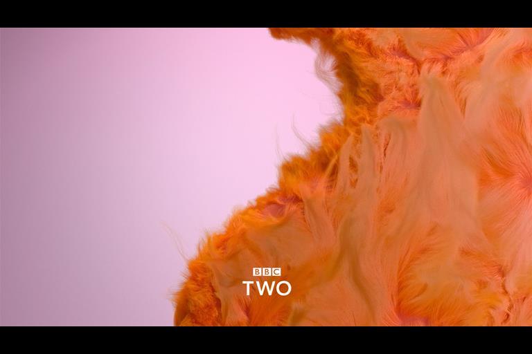 Gallery: New BBC2 idents | Features | Broadcast